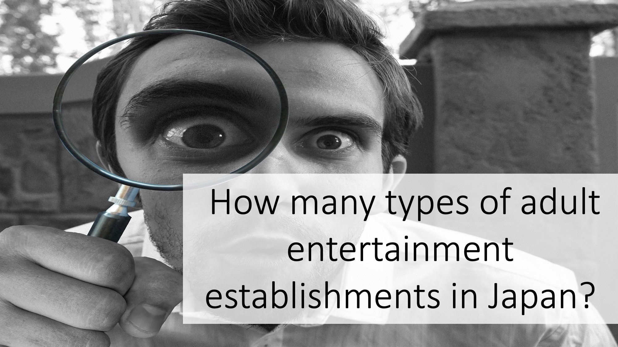 How many types of adult entertainment establishments are there in Japan ...